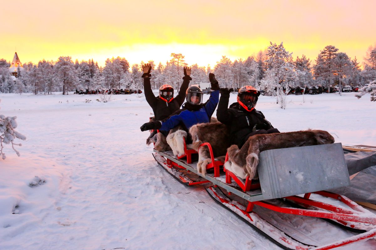 Family Snowmobile Sledge Ride | Wild About Lapland