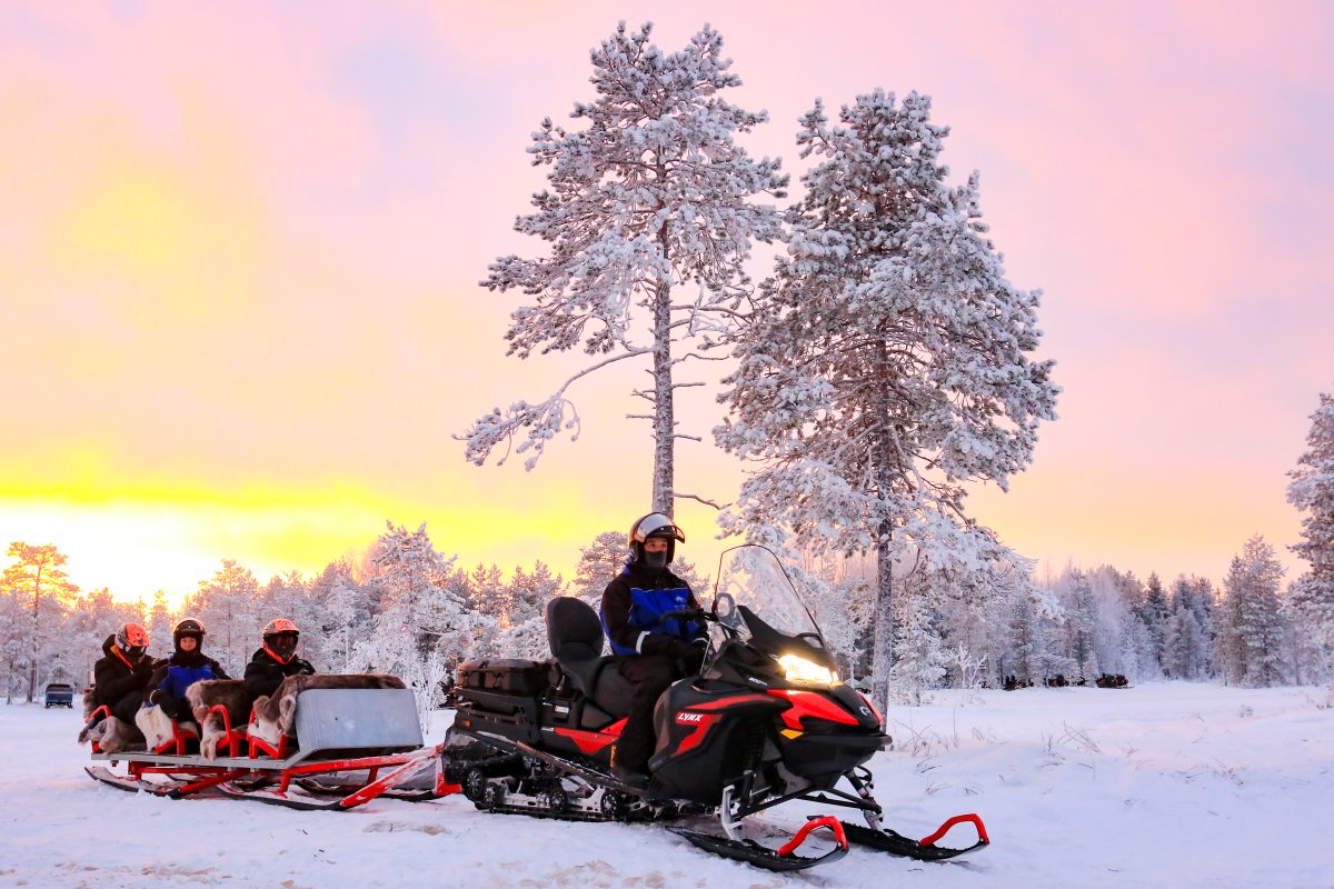 Family Snowmobile Sledge Ride | Wild About Lapland