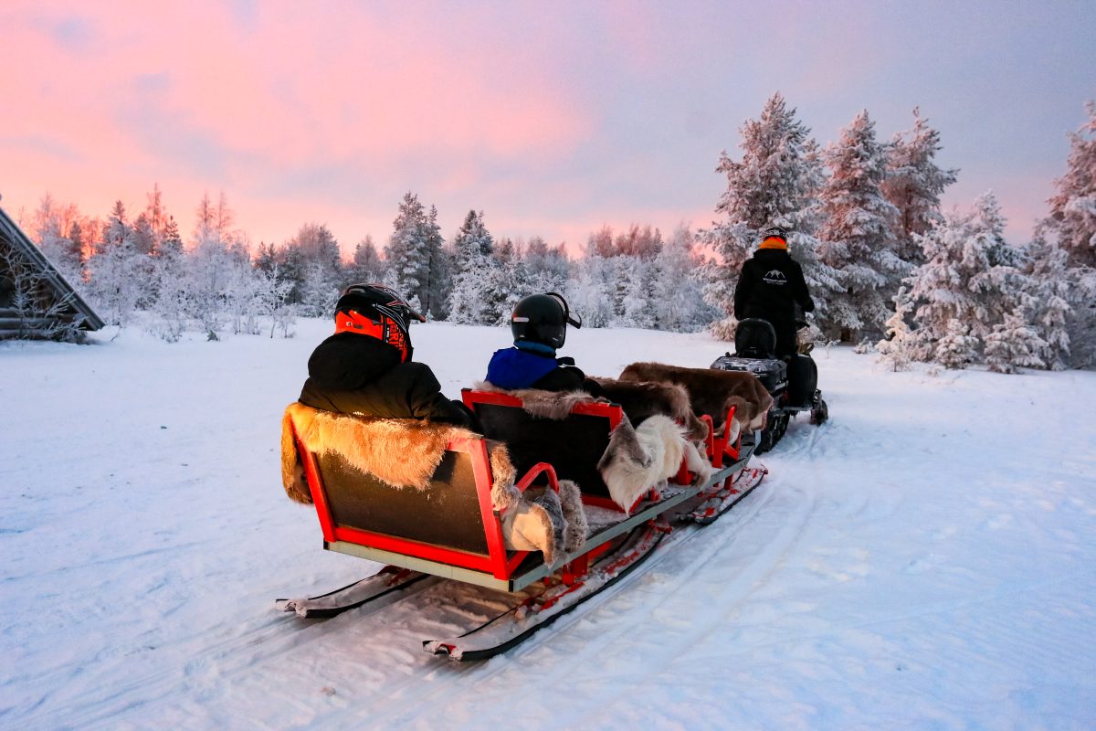 Northern Lights Snowmobile Sledge Ride | Wild About Lapland